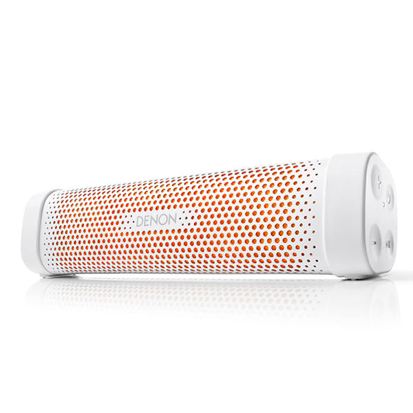 DSB-100 – e☆イヤホン