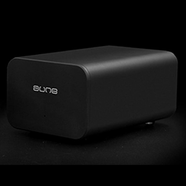aune audio XP2 Black – e☆イヤホン